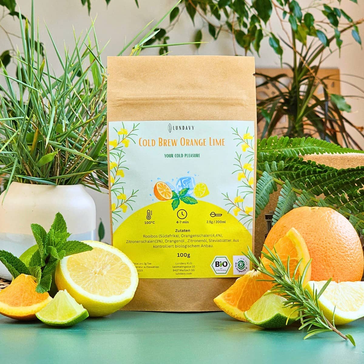 Cold Brew Orange Lime BIO Eistee | Natürliche Erfrischung | Lundavy